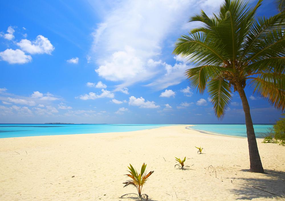 What Are the Different Types of Travel Packages?